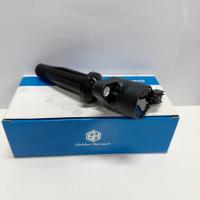 Quality DG-541 OEM Ignition Coils For FORD FOCUS 2003–2012 MAVERICK 2004+ S-MAX 2006+ for sale