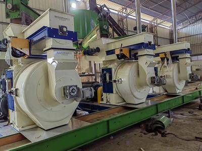 Cina linea di produzione della pallina della segatura di 5 ton/h linea fabbricazione della pallina della segatura di legno del fornitore in vendita