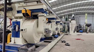 Cina linea di produzione della pallina della segatura di 5 ton/h linea fabbricazione della pallina della segatura di legno del fornitore in vendita