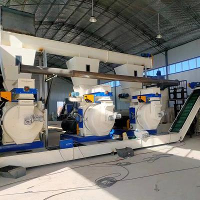 China Industrieel gebruik Houtpelletmachine met grote capaciteit 10 t/h Te koop