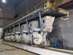van de de Korrelproductielijn van 15 ton/h Houten Vervaardiging 2 Installatie van de Rollen de Houten Korrel
