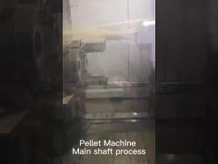 Perché possiamo garantire l‘albero principale della pellet machine per 3 anni