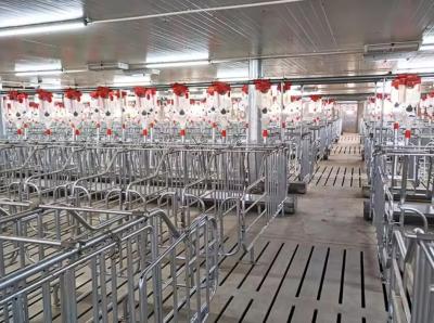 China High Strength Easy To Clean And Maintain GRP Floor Grating FRP Molded Pig Chicken Sheep Floor Grating for sale