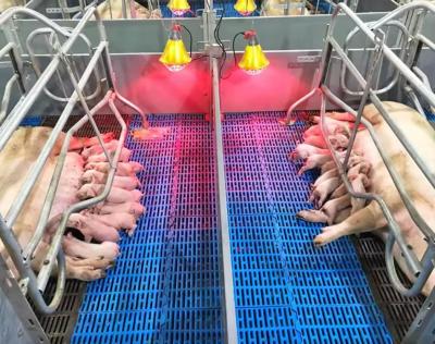 China Easy To Clean And Maintain GRP Floor Grating FRP Farm Farm Processing Plant  38x38mm Long Service Life for sale