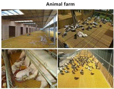 China Easy To Clean And Maintain GRP Floor Grating FRP Farm Farm Processing Plant  38x38mm Long Service Life for sale