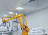 China ESTUN ER120-2400-PL 4-Axis Palletizing Robot 120kg Payload 2400mm Reach for sale