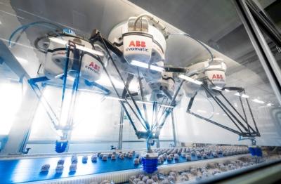 China 4 Axis Robot ABB Delta Robots High Speed Flexibility  Picking for sale