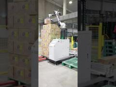 Geavanceerde Chinese robotarm 3 kW Totaal palletvermogen 8-10 keer per minuut Ontwerpsnelheid
