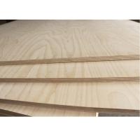 Quality Birch Aspen Pine Plywood X 12 plywood Factory Price White modern interior for sale
