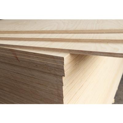Cina Fabbrica di Legno compensato 2.5mm 3mm 4mm 6mm 7mm 9mm 20mm Armadio di Legno compensato in vendita