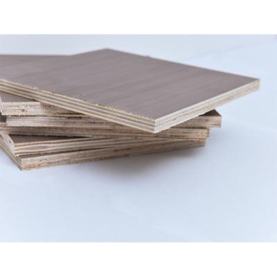 Cina 3 mm 6 mm MDF grezzo Fibra di cartone E0 di densità media per porta armadio in vendita