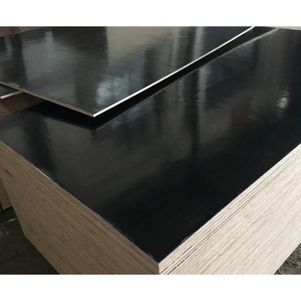 Quality Black Birch Ply 18mm 21mm Birchwood Plywood Template 1250x2550mm for sale