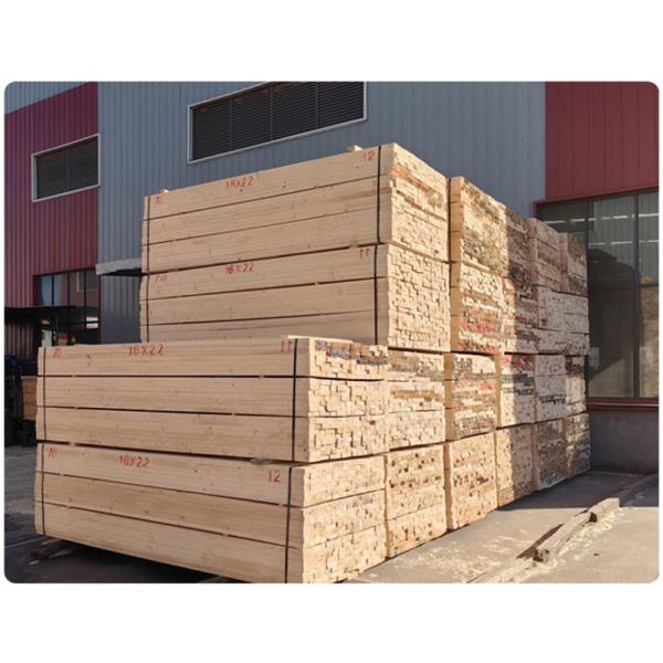 Quality Black Birch Ply 18mm 21mm Birchwood Plywood Template 1250x2550mm for sale
