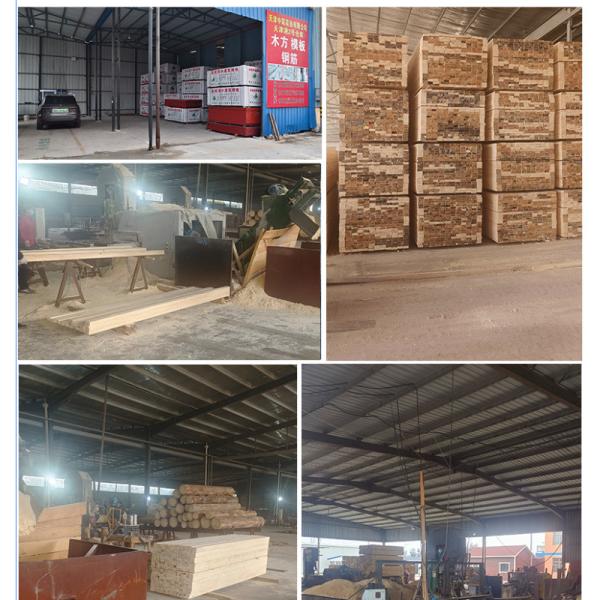 Quality Black Birch Ply 18mm 21mm Birchwood Plywood Template 1250x2550mm for sale
