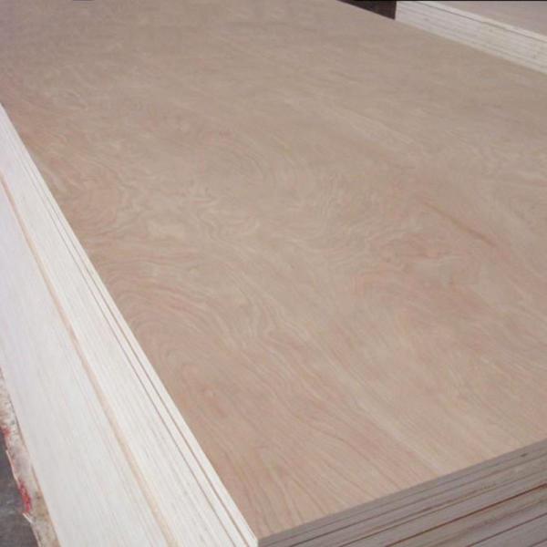 Quality Modern 15mm Birch Plywood Template Artificial Veneer Surface for sale