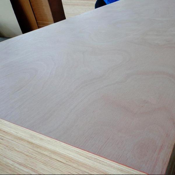 Quality Modern 15mm Birch Plywood Template Artificial Veneer Surface for sale