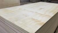 China Create Stylish Plywood MDF Sheet Interior Transformations for Style and Function for sale