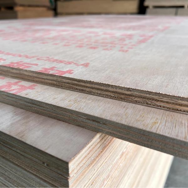 Quality Factory Direct Sale Of Durable Birch Plywood For Outdoor Projects for sale