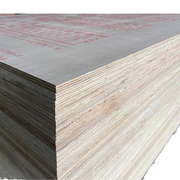 Quality Factory Direct Sale Of Durable Birch Plywood For Outdoor Projects for sale