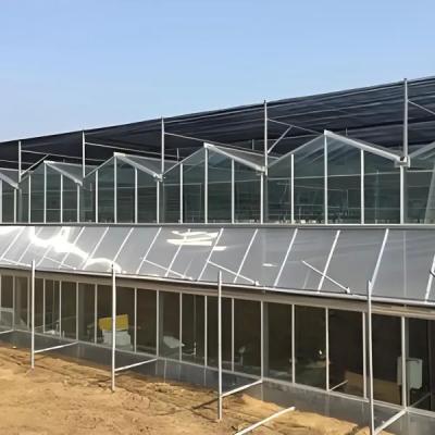 Cina Agricoltura Venlo Serra di vetro commerciale Larghezza 9,6 m Con sistema idroponico in vendita