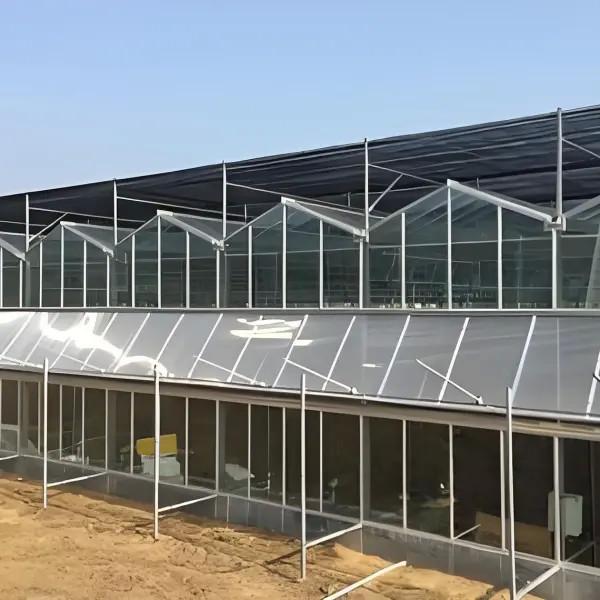 Quality Agricultural Venlo Commercial Glass Greenhouse Width 9.6m With Hydroponic System for sale