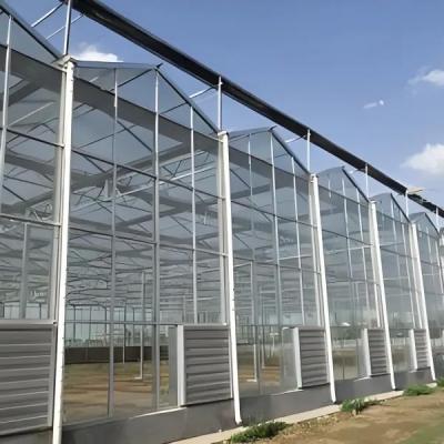 中国 現代のヴェンロガラス温室 トマトのキュウリを植える 美しい 頑丈で風に耐える 販売のため