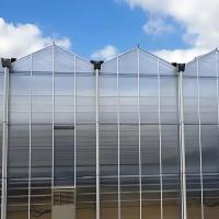 Quality Hot Sale Agriculture Greenhouse Technology Multi-Span Polycarbonate Greenhouse for sale