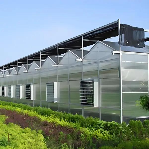 Polycarbonate greenhouse exterior view