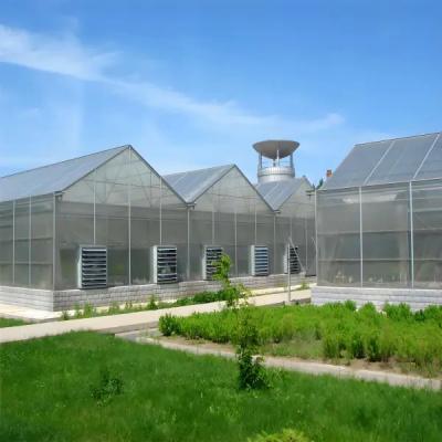 Cina Serra commerciale professionale Venlo olandese in policarbonato per la coltivazione di frutta, verdura e fiori in vendita