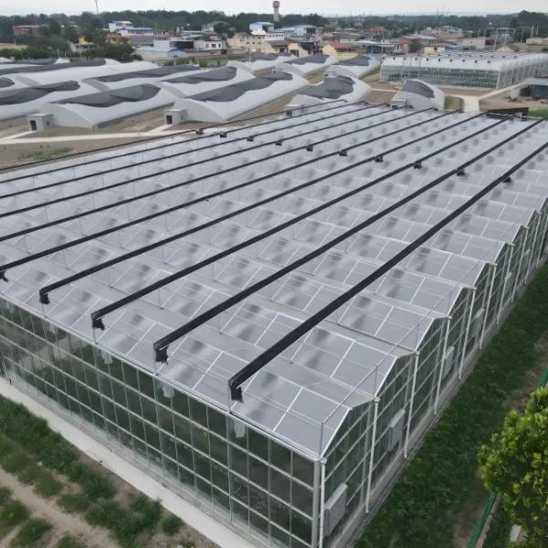 Quality Hot Sale Smart Galvanized Steel Venlo Greenhouse For Agriculture for sale