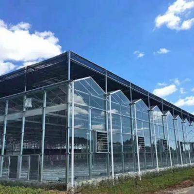 Cina Struttura moderna di serra di alta qualità per agricoltura commerciale speciale in vendita