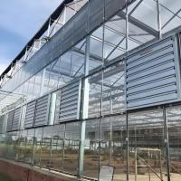 Quality Greenhouse Commercial Greenhouse Venlo Dutch Greenhouse for vegetables for sale