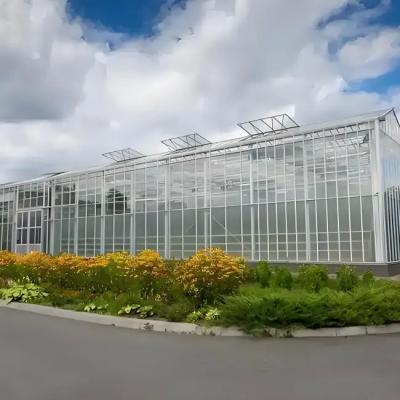Cina Serra Venlo in acciaio zincato Serra commerciale in policarbonato con sistema di coltivazione idroponica in vendita