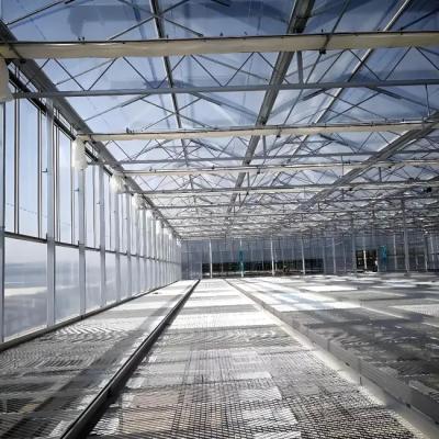 Cina Struttura robusta Serra galvanizzata tipo Venlo Serra commerciale in vendita