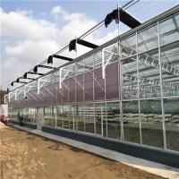 Quality Modern Venlo Greenhouse Farming Commercial Glass Greenhouse With Galvanized for sale