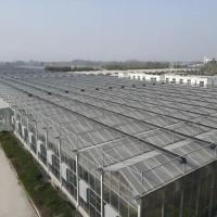 Quality Hydroponic Venlo Glass Greenhouse Customizable for sale