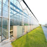 Quality Competitive price leaf vegetables hydropoinics greenhouse glass covering for sale