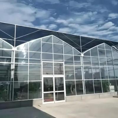 Cina Serra olandese Venlo completamente automatica a doppia parete con raffreddamento evaporativo in vendita