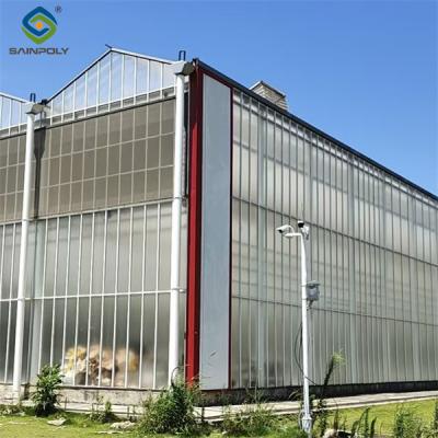 Cina Agricoltura Serra di tipo Venlo a policarbonato per la coltivazione di pomodori in vendita