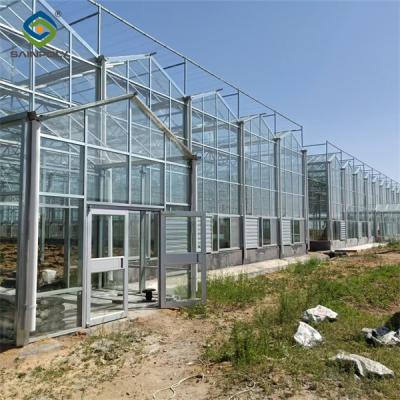 Cina Controllo climatico per serra multi-campata stile Venlo per ortaggi e fiori in vendita