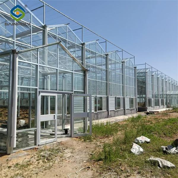 Quality Multi Span Venlo Style Greenhouse Climate Control For Vegetable And Flowers for sale