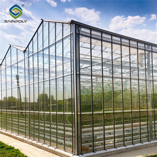 Quality Customizable Dutch Venlo Greenhouse for sale