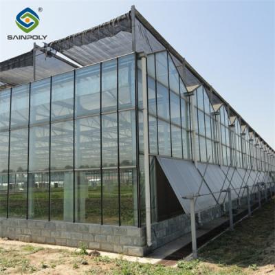 中国 高強度農業用ガラス温室 ベンロ型 容易な設置 販売のため