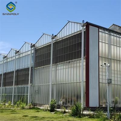 Cina PC Sheet Venlo Serra grande risparmio energetico Serra commerciale in policarbonato in vendita