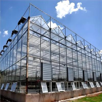 China Multi Span Venlo Style Greenhouse with Hydroponic Growing System Agriculture Equipment Intelligent systems for sale