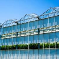China Intelligent Venlo-Type Glass Greenhouse 9.6m Width with Automated Climate Control and 95% Light Transmittance for sale