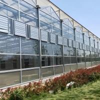 Quality Professional Commercial Greenhouse Venlo Greenhouse Structure for planting with for sale