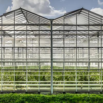 China Intelligent Temperature-Controlled Venlo-Type Glass Greenhouse Equipped with Precision Irrigation and Environmental Monitoring Systems for sale
