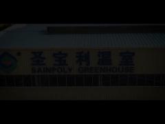 Sainpoly Agriculture greenhouse frame Venlo type Polycarbonate Glass greenhouse for seeds vegetables hybrid tomato