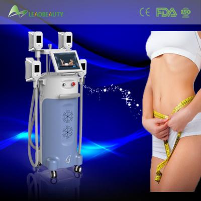 China Most advanced product cryolipolysis body slimming machine for sale